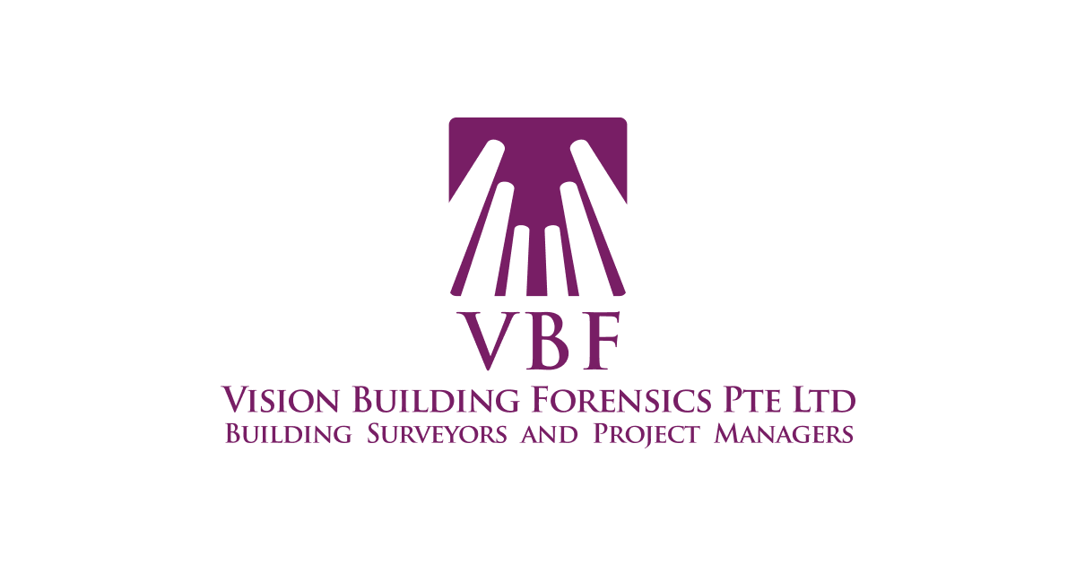 Vision Building Forensics - Building surveyors and project managers